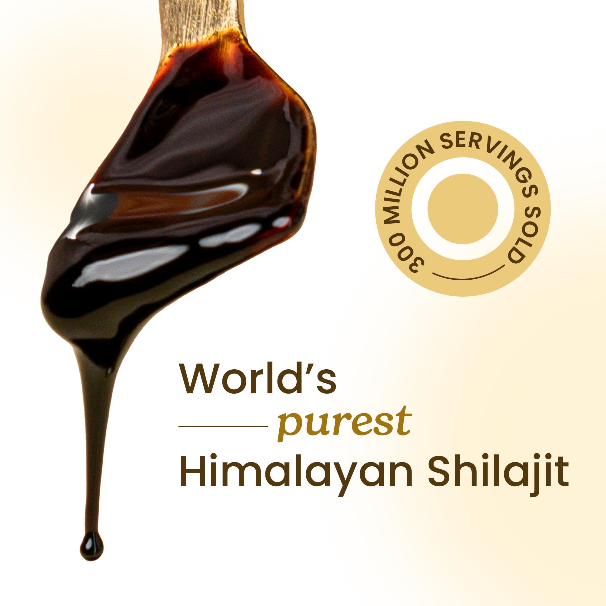 shilajit supplement for endurance