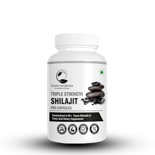 shilajit supplement for energy boost