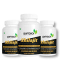 shilajit supplement for energy boost