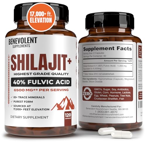 shilajit supplement for energy boost