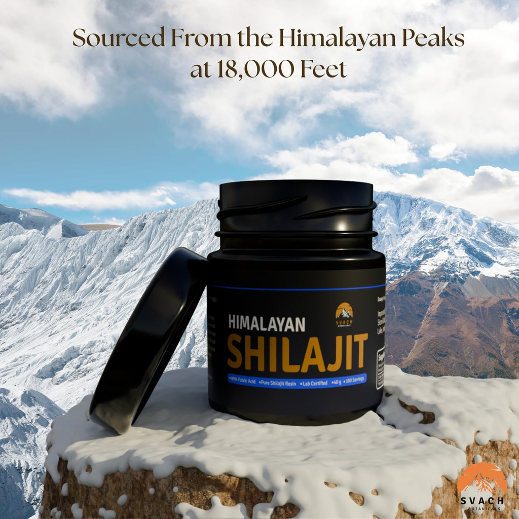 shilajit supplement for energy