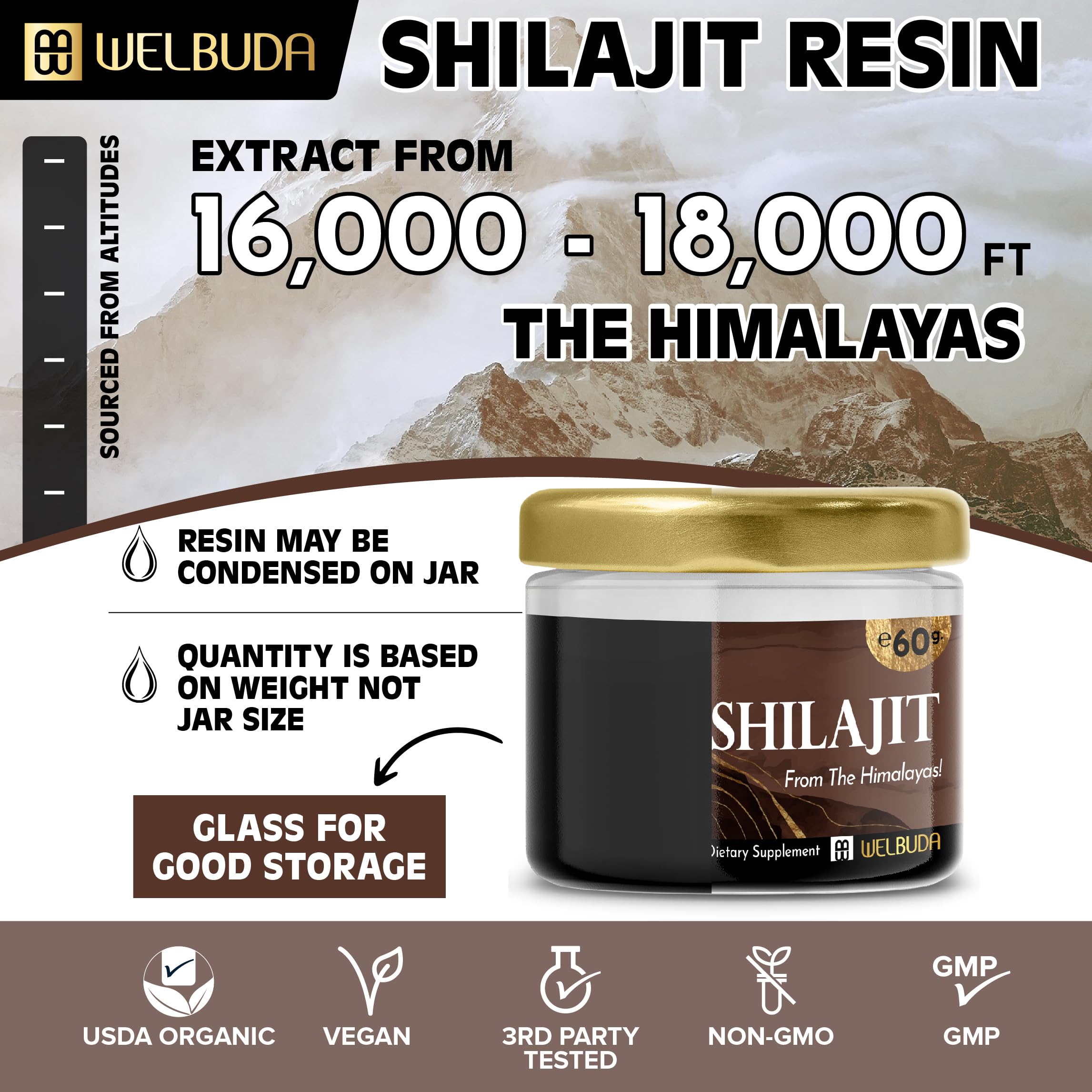 shilajit supplement for enhanced endurance