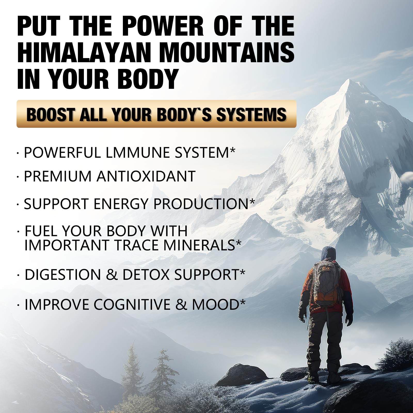 shilajit supplement for enhanced energy