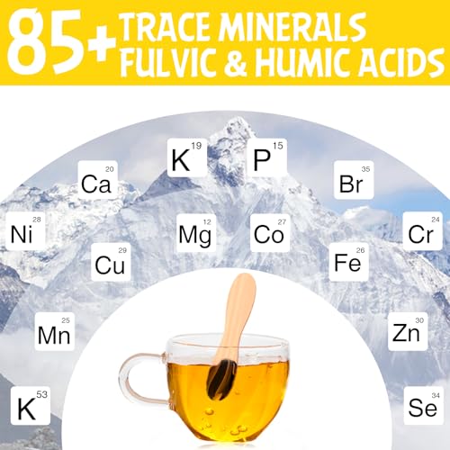 Shilajit supplement for mineral balance