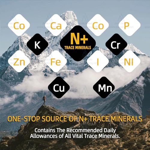 Shilajit supplement for natural energy