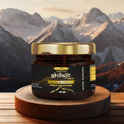 shilajit supplement for overall wellness
