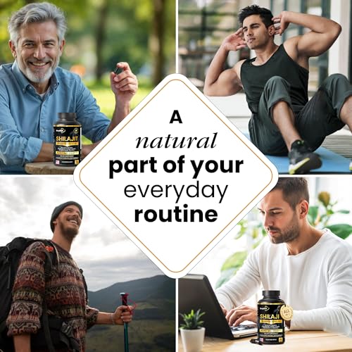 shilajit supplement for overall wellness