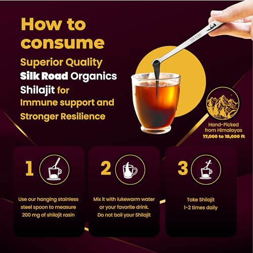 shilajit supplement for overall wellness