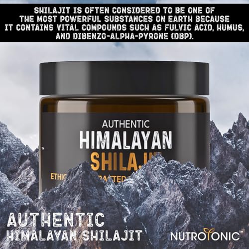 shilajit supplement for overall wellness