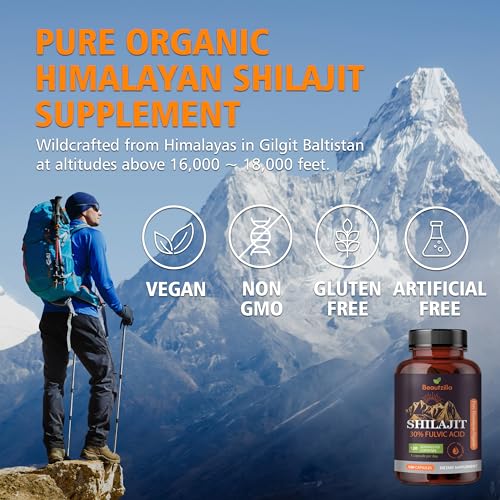 shilajit supplement for stress relief