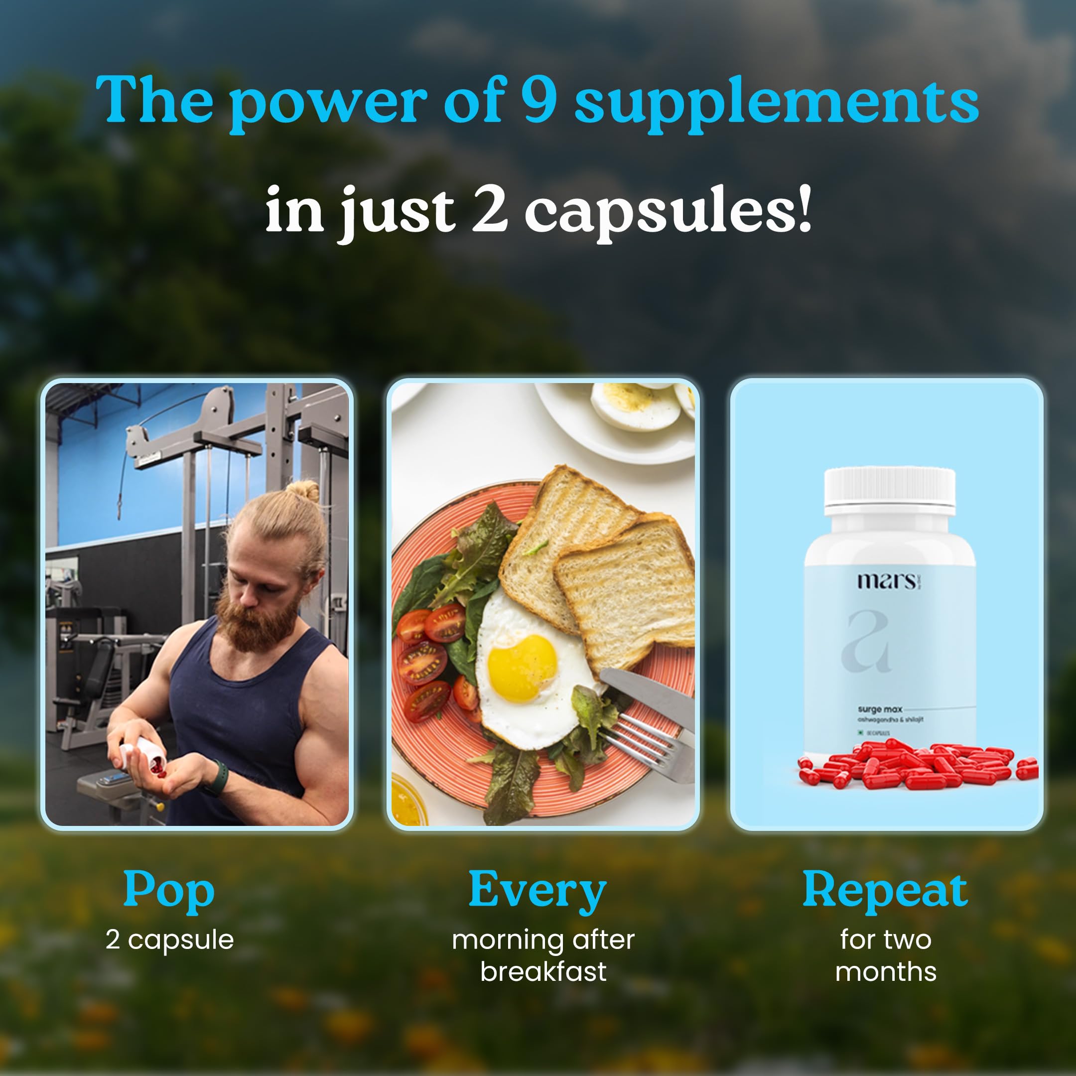 Shilajit supplement for vitality