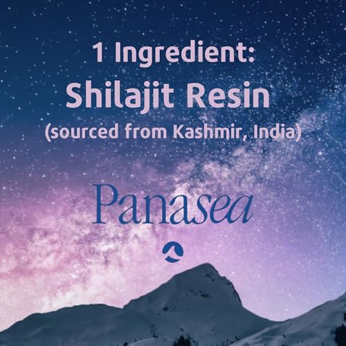 shilajit supplement for wellness