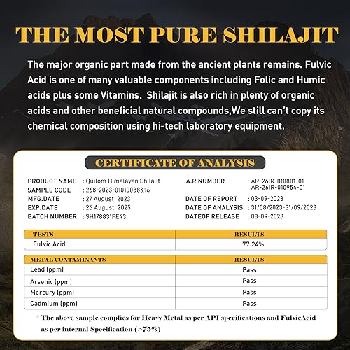 shilajit supplement for wellness