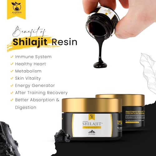 shilajit supplement for wellness