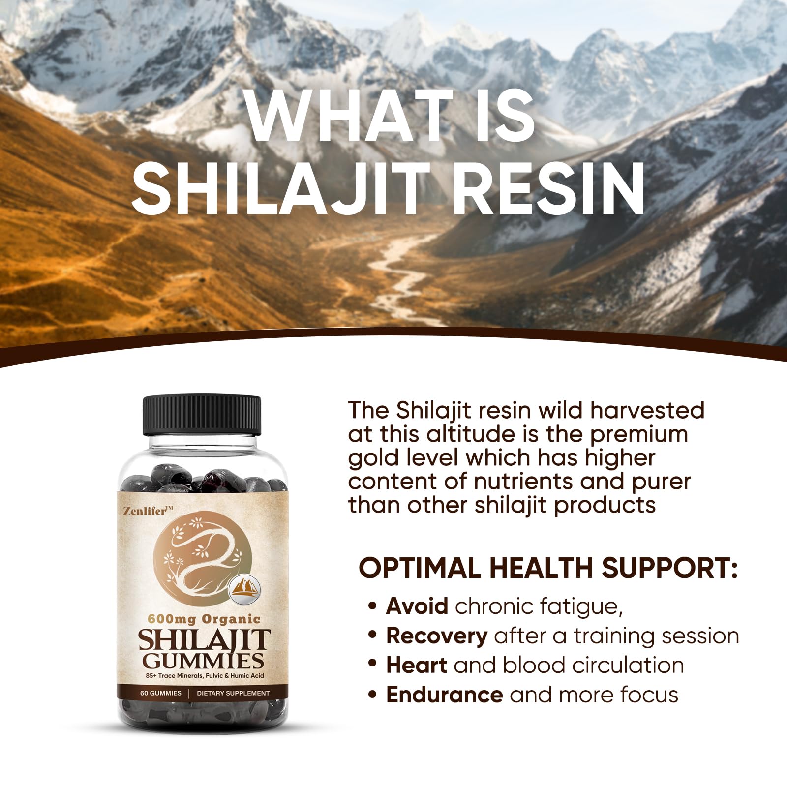 shilajit supplement with 85+ trace minerals
