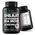 Shilajit supplement with neem benefits