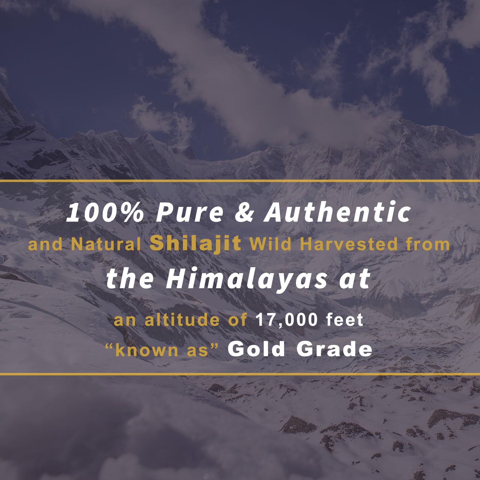 shilajit tablets for daily wellness