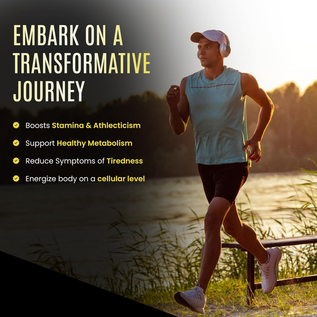 Shilajit tablets for immune support