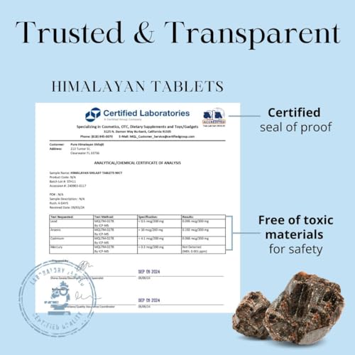 shilajit tablets for immune support