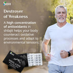 shilajit tablets for improved focus
