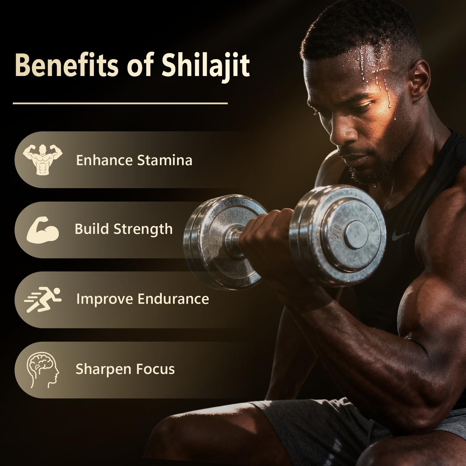 shilajit with fulvic acid advantages