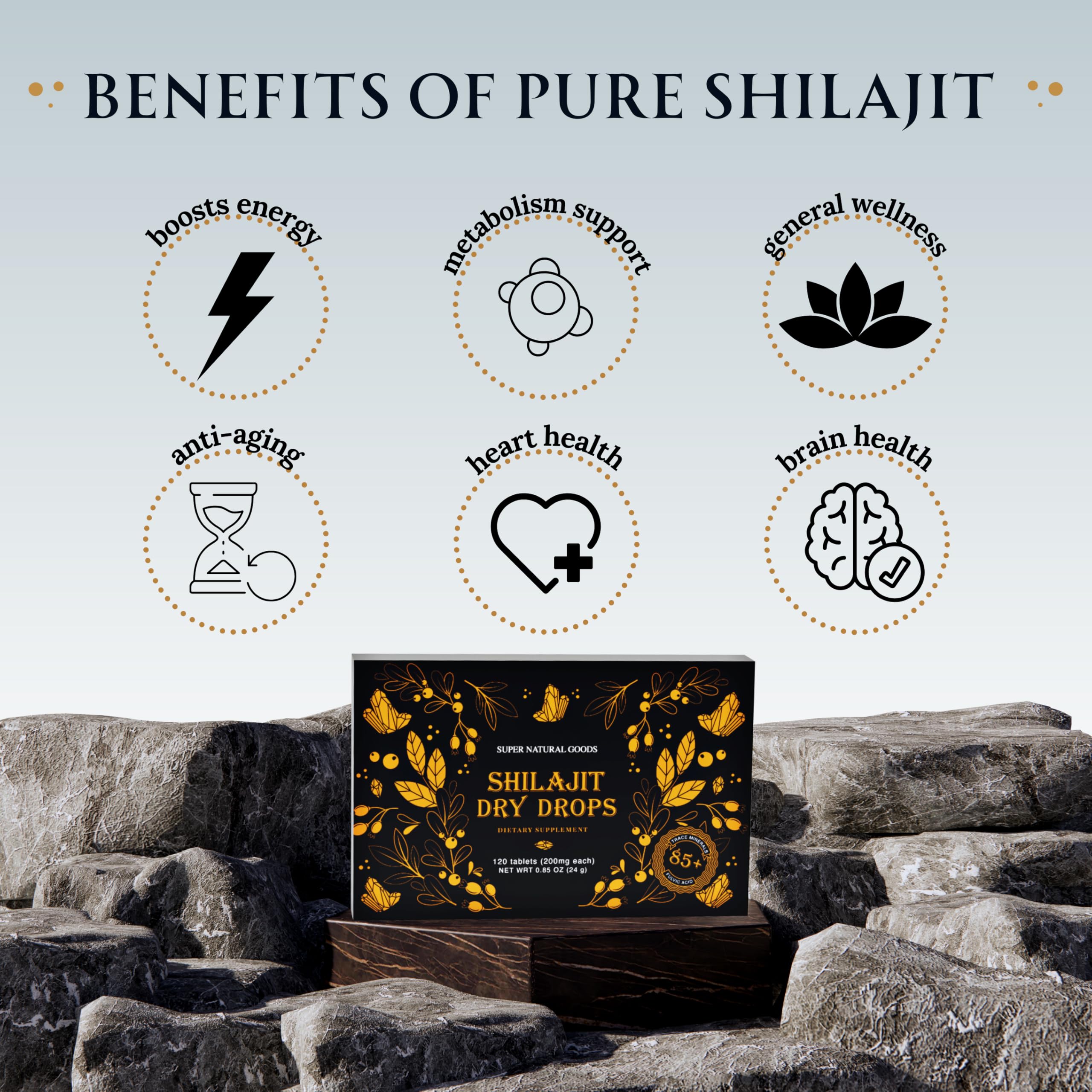shilajit with fulvic acid benefits