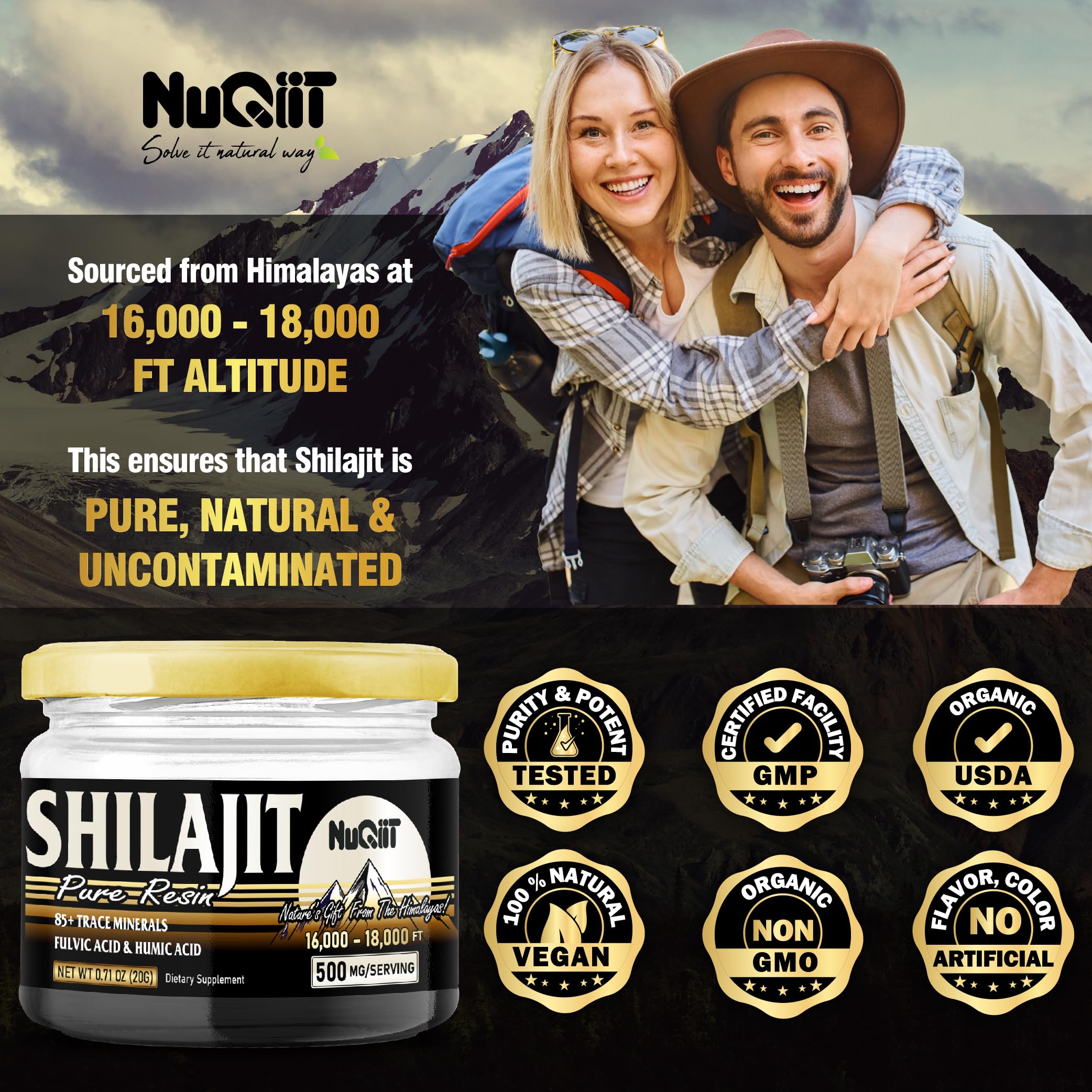 shilajit with humic acid benefits