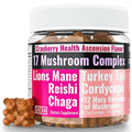 SHIZAM mushroom complex gummies for adults