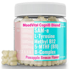 SHIZAM vitamin B complex gummies