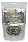 Siberian Chaga mushroom extract capsules