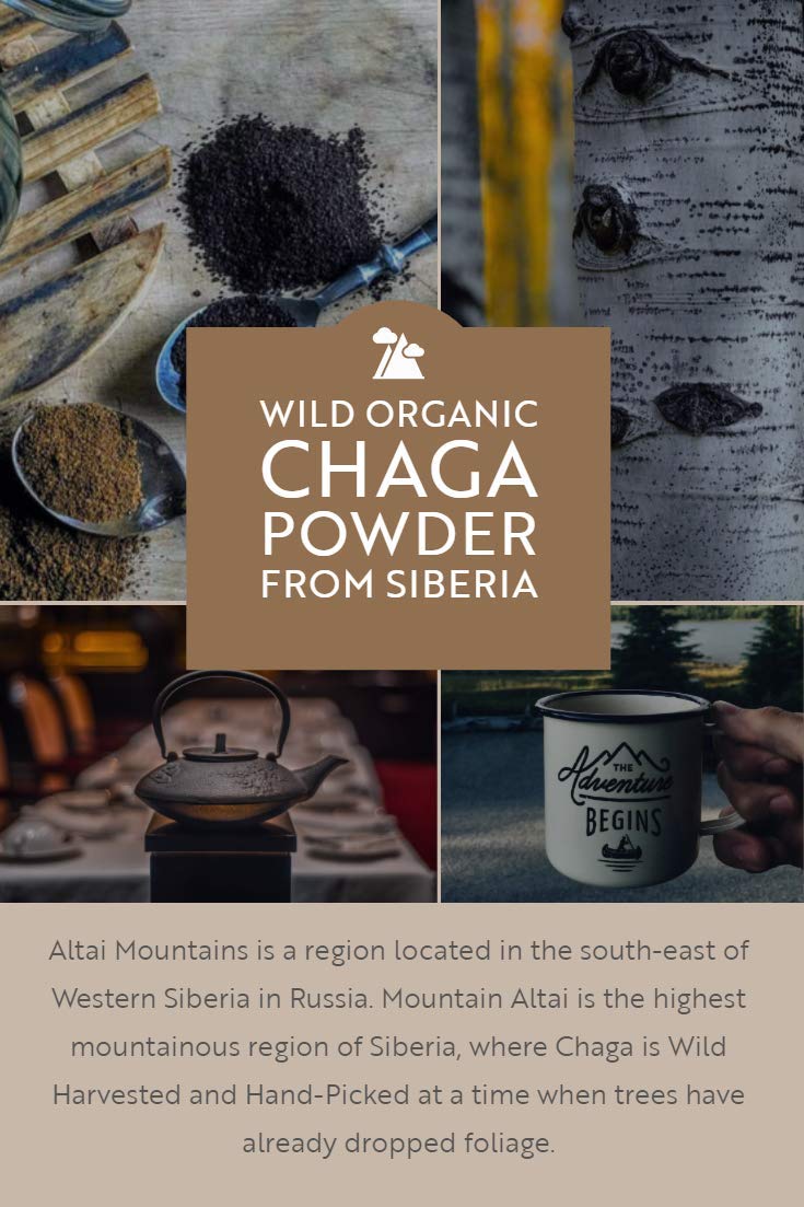 Siberian chaga mushrooms for immune support