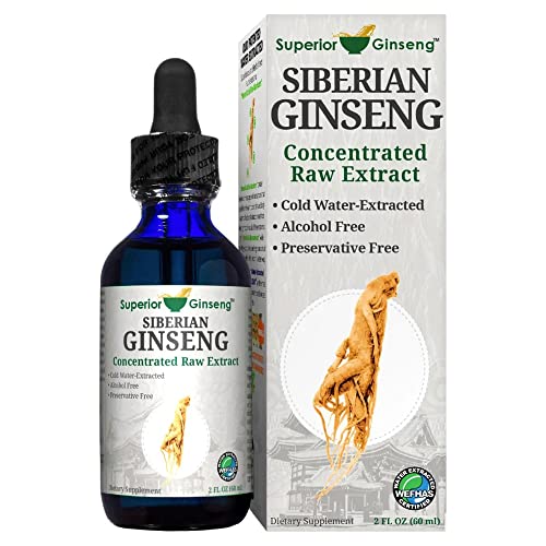 Siberian ginseng root extract benefits