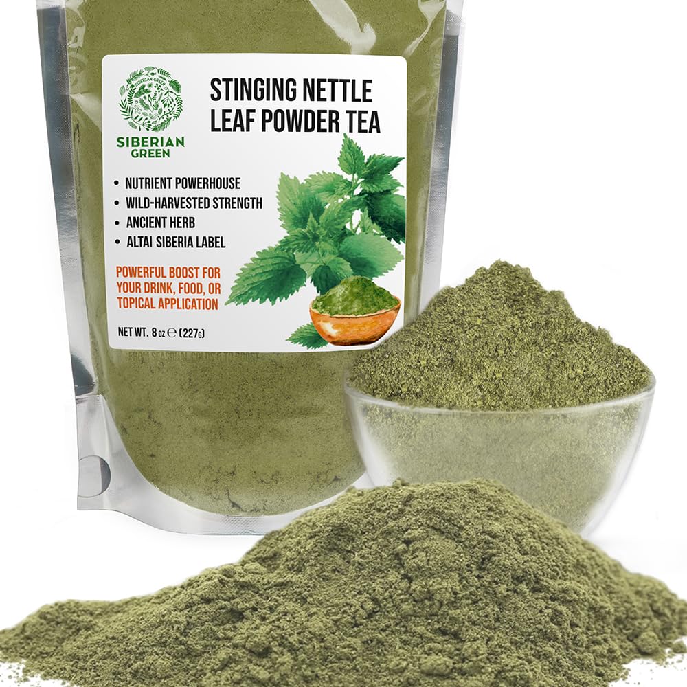 Siberian Green stinging nettle tea benefits