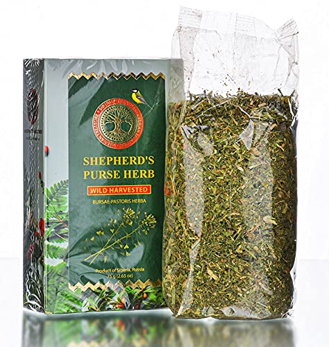 Siberian Shepherd's Purse herbal tea benefits