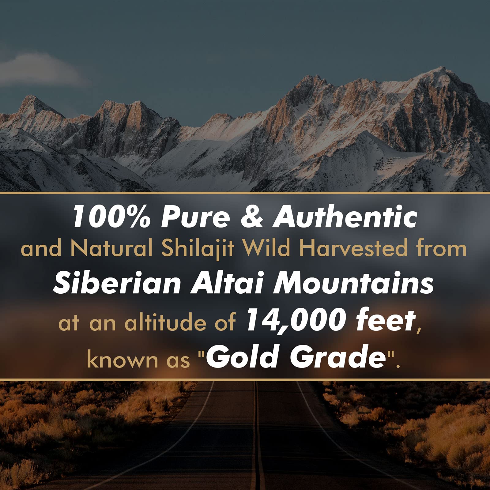 Siberian shilajit for daily health