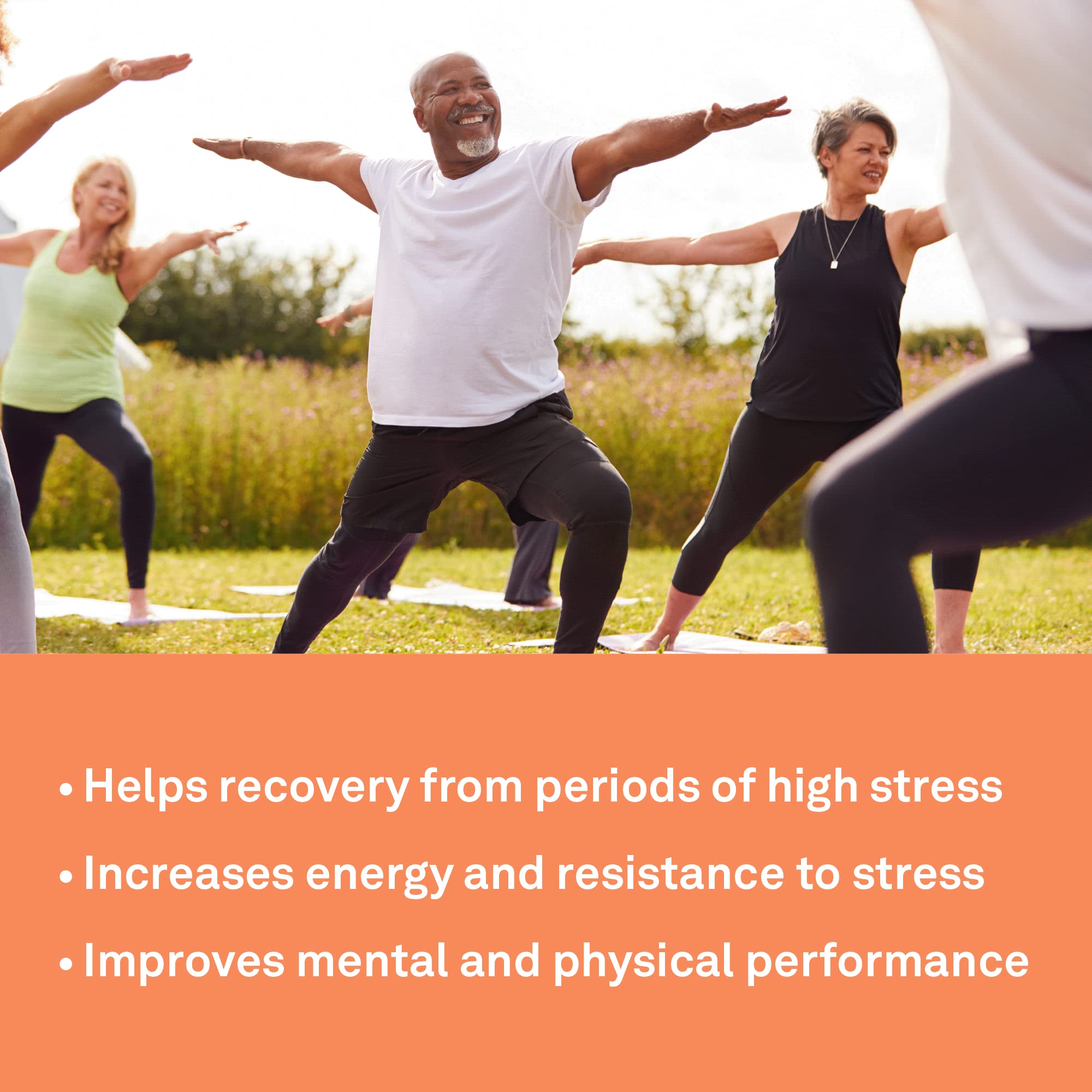 Siberian Tiger ginseng for energy boost