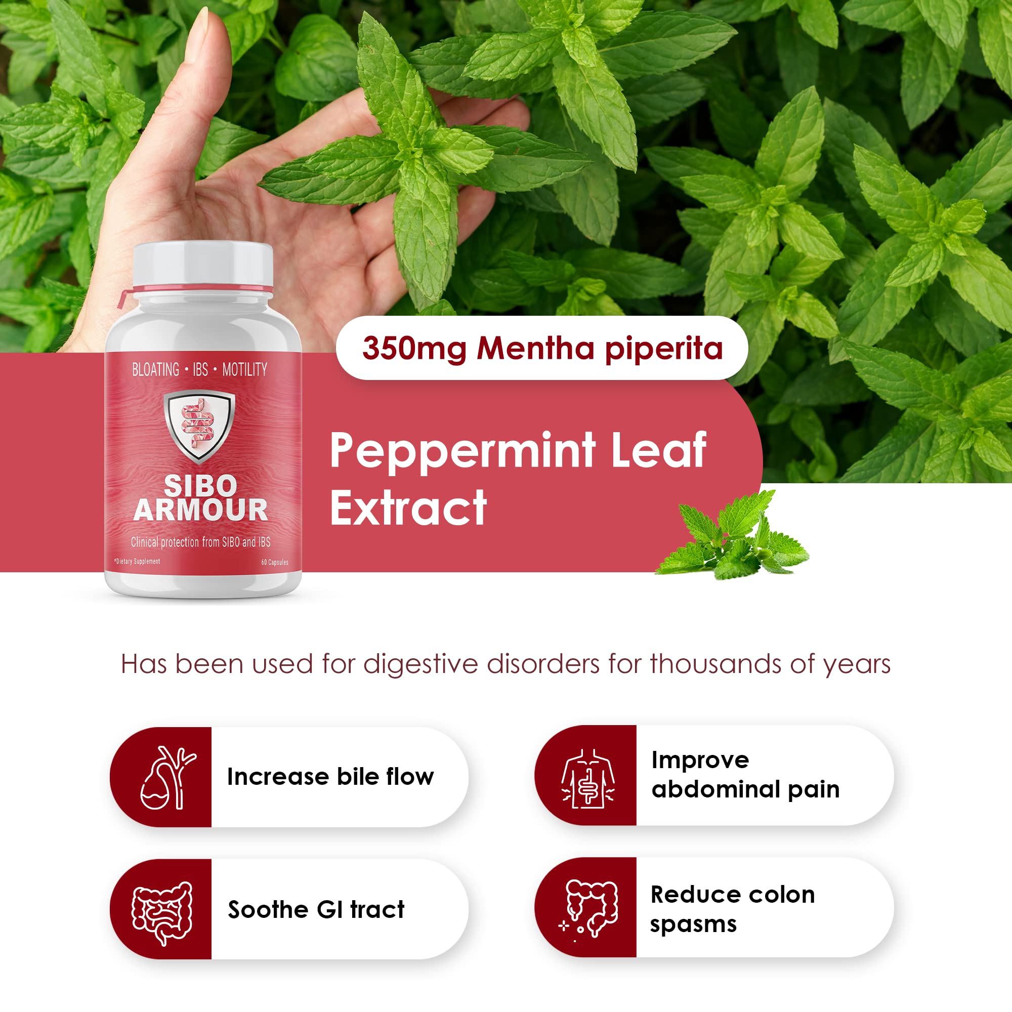SIBO for effective gut treatment