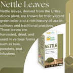 sifted nettle leaf benefits