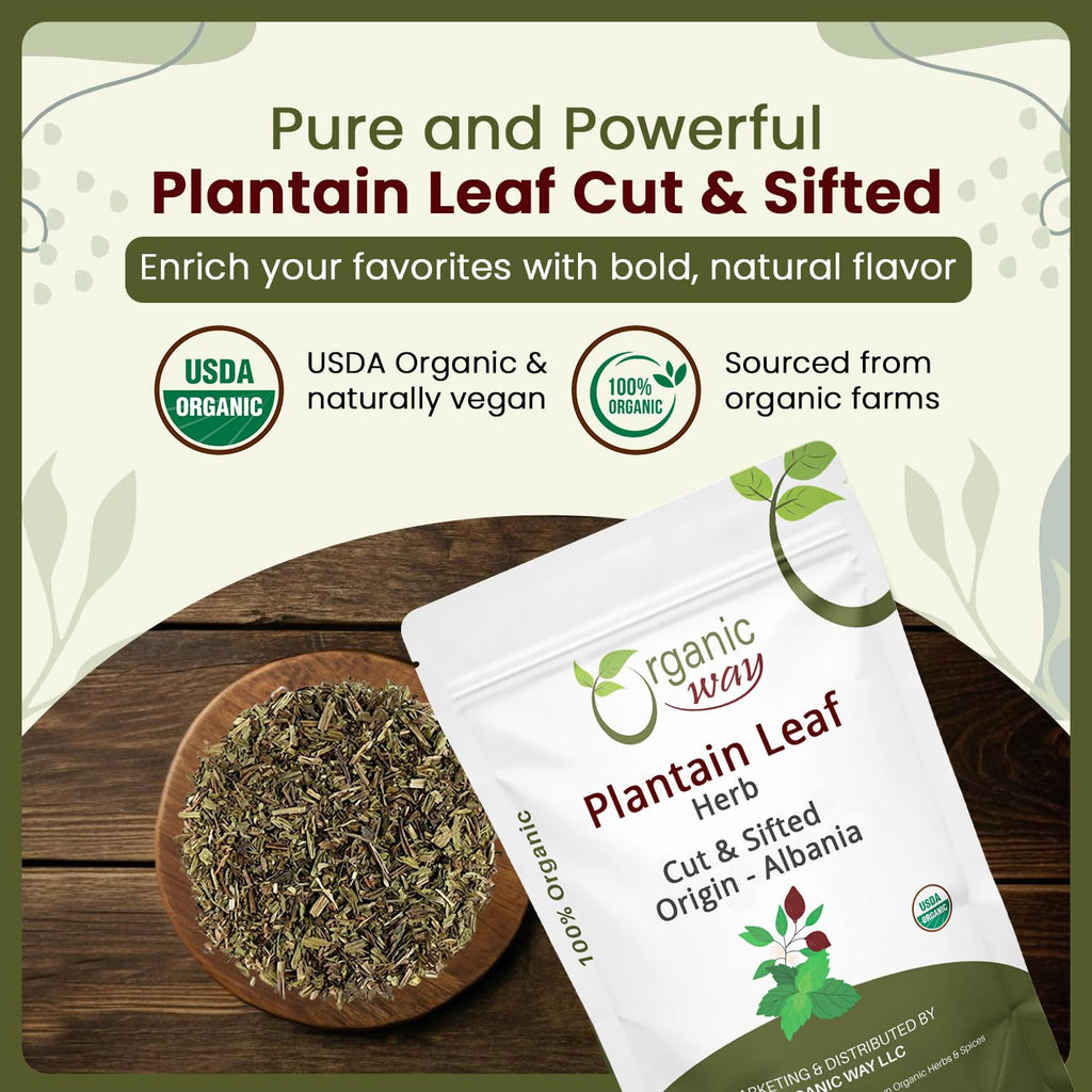 Sifted plantain leaf tea benefits