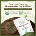 Sifted plantain leaf tea benefits