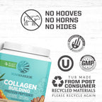 Silica enriched collagen beauty powder