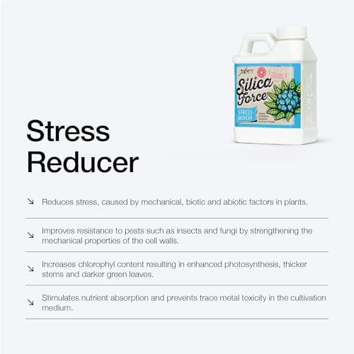 Silica Force silicon for vitamins