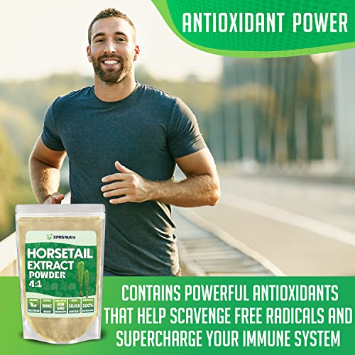 silica-rich horsetail root powder