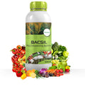 silica solubilizing bacteria for plants