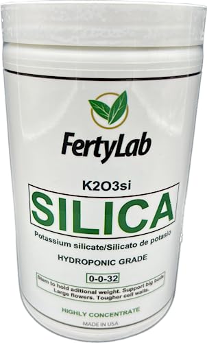 silicon carbon battery enhancement