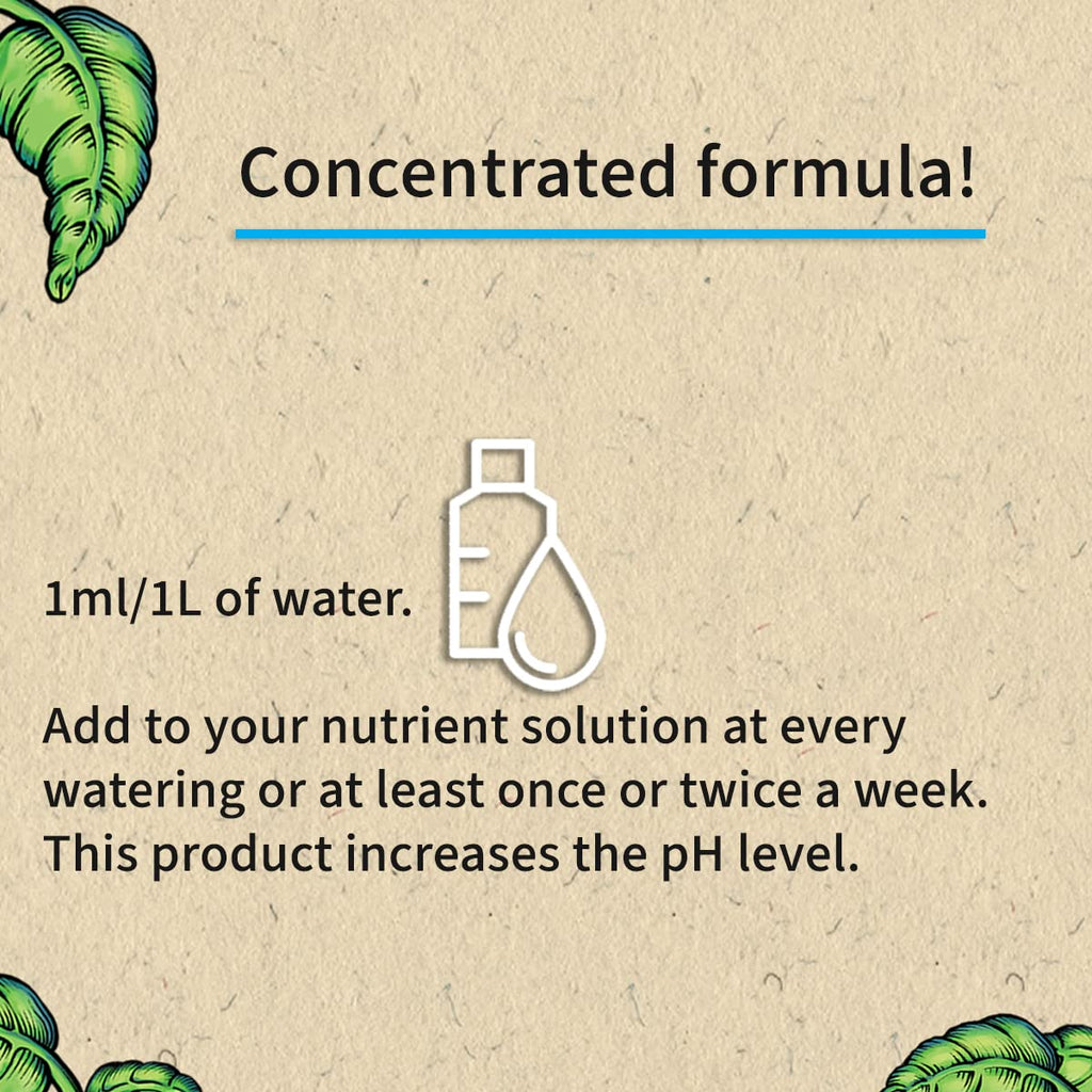 silicon mineral for improved vitality