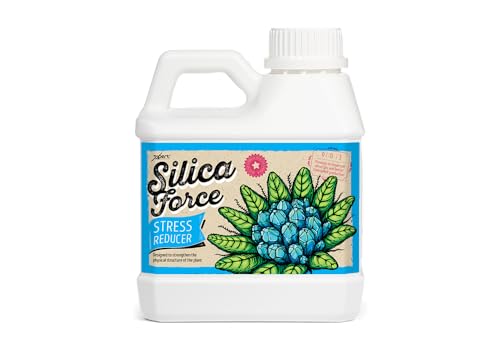 silicon supplement for better wellness