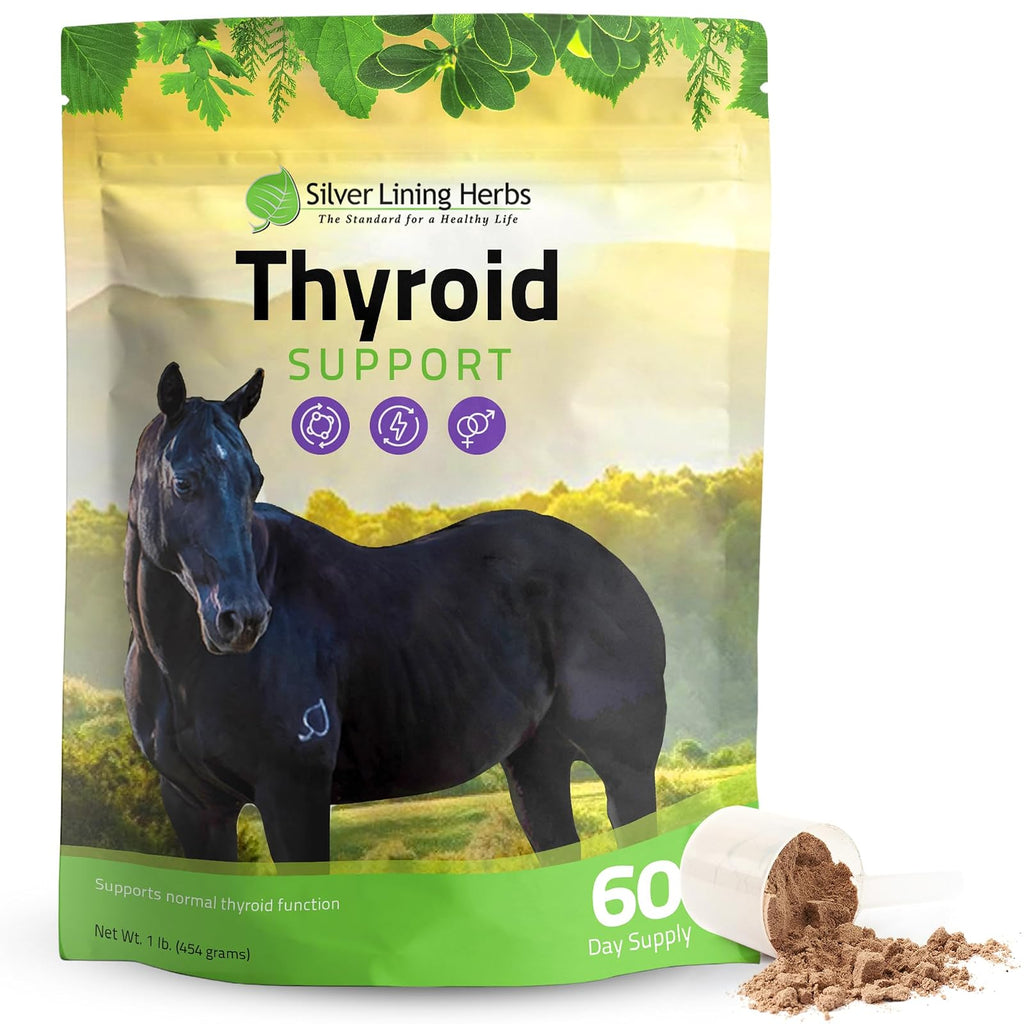 Silver Lining Herbs thyroid support supplement