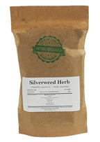 Silverweed herbal tea for wellness