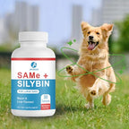 Silybin for dogs with liver issues